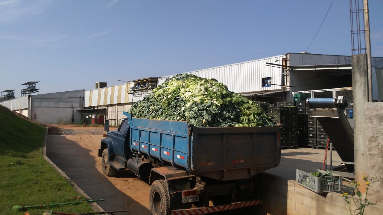 PÁTIO DE COMPOSTAGEM CAISP – Caisp